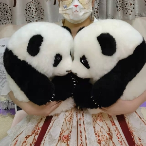 假熊猫饲养员-四毛 