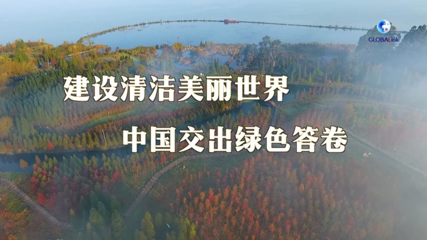 全球连线|建设清洁美丽世界,中国交出绿色答卷