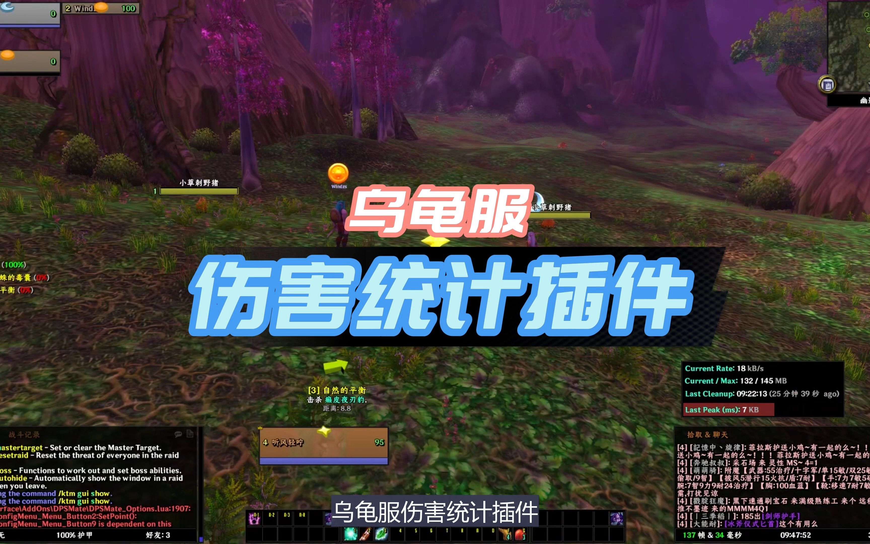 【乌龟】龟壳对比了几款伤害统计插件,最好用的是它?