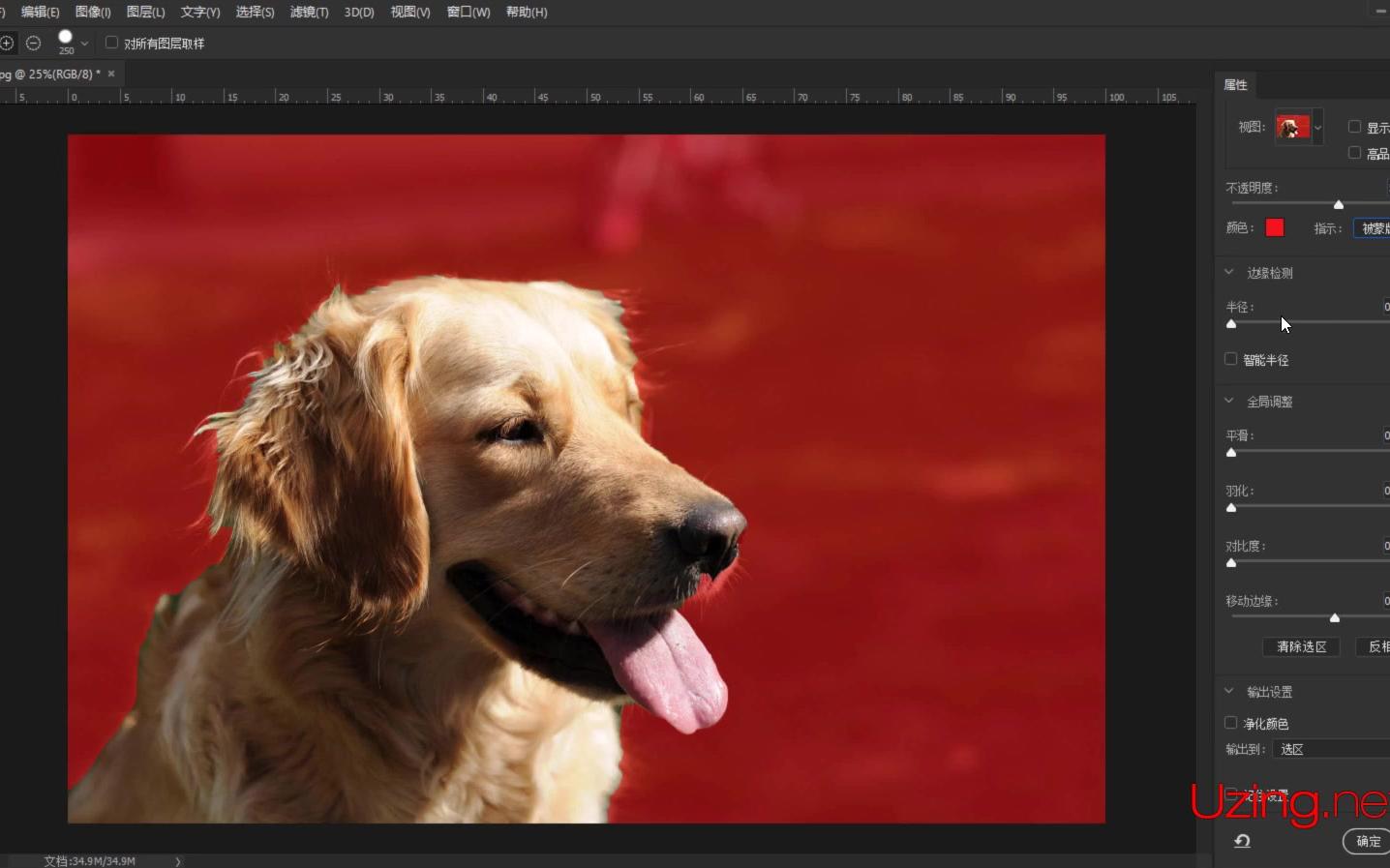 Photoshop CC 2017 基础教程| 04-08调整边缘