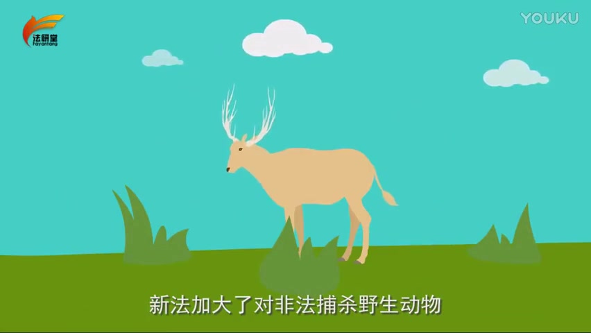 《中华人民共和国野生动物保护法》普法动画片