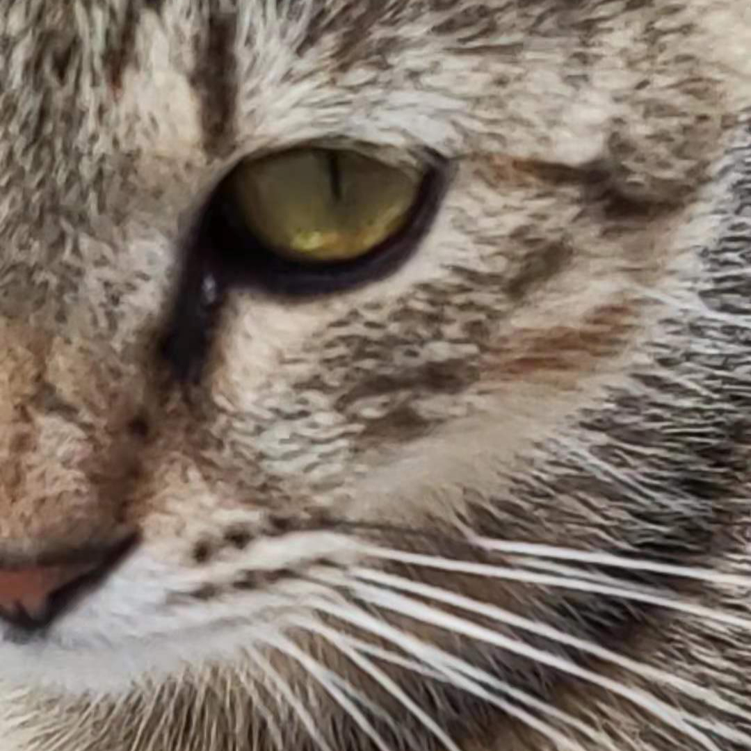 _C_Z_HHH_ 