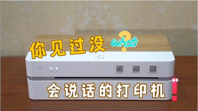 会说话的打印机你见过没?
