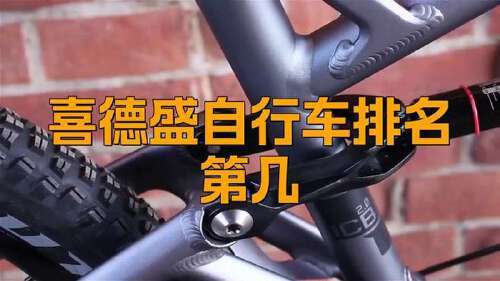 喜德盛自行车究竟排第几?国货之光还是营销噱头?