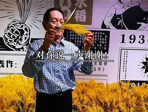 用一生把水稻当成事业要对你说一声谢谢