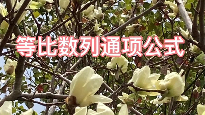 等比数列通项公式