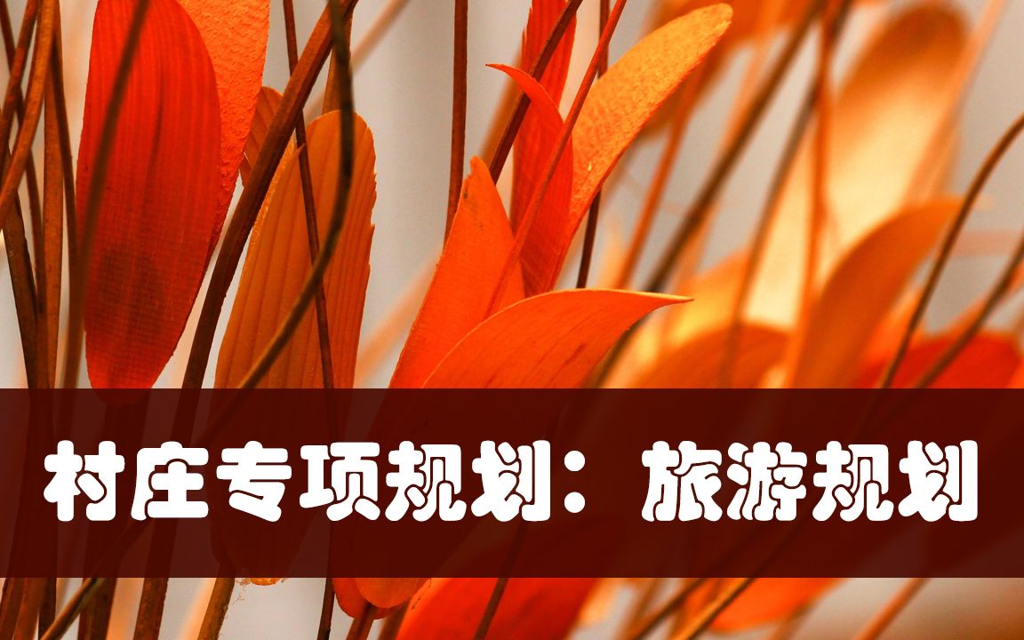 村庄专项规划:旅游规划