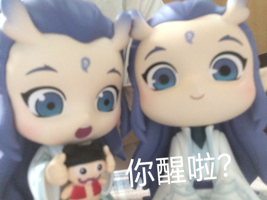 花了两个月前不敢想的价格收到了