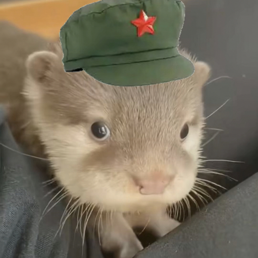 小陈是个理想主义者 