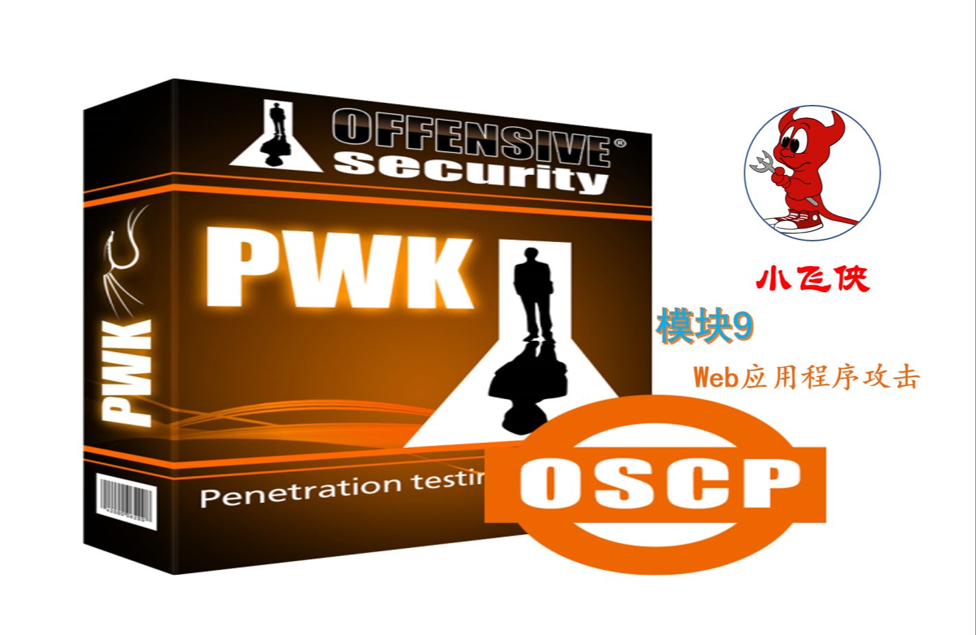 ...M09-Web Application Attacks-16-SQL注漏洞-(11)—UNION查询利用