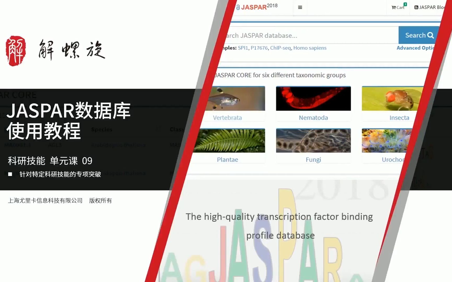 JASPAR数据库，你没听过不要紧，知道它能给文章加2分就够了！