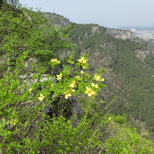 脚下接连山 