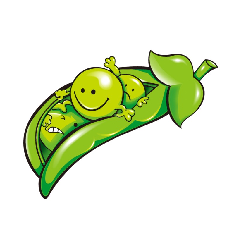 豌豆老师大语文 