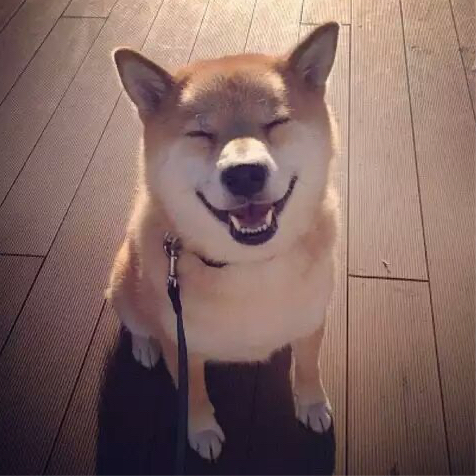-寂灭魂- 