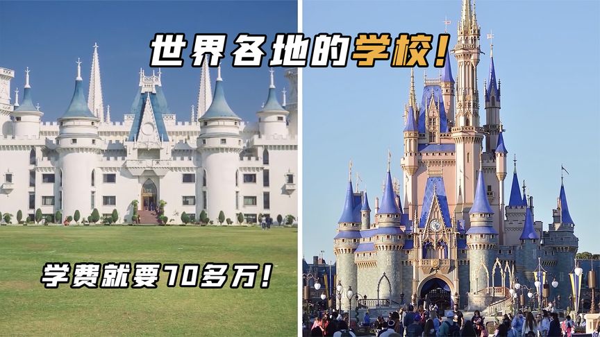 世界各国的学校差异,来看你都认识哪些?