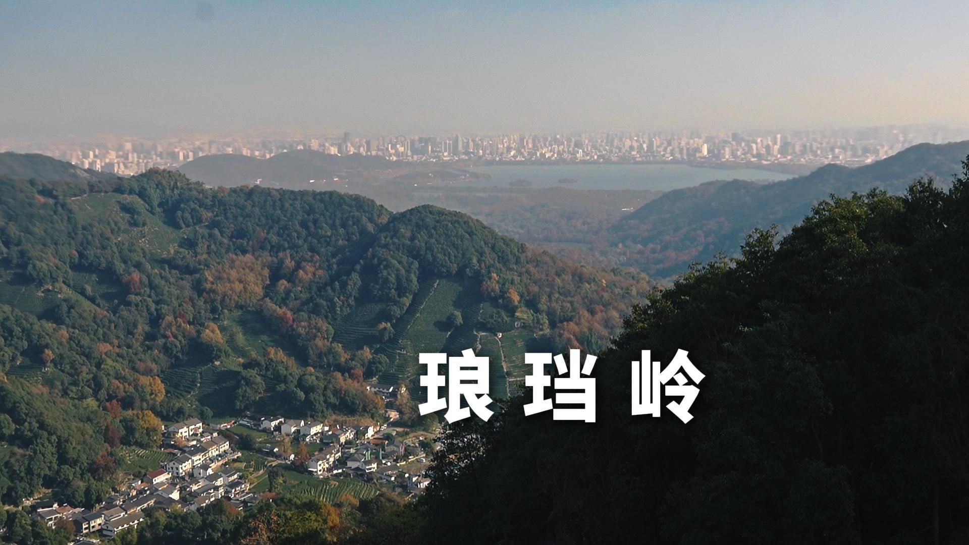 杭州琅珰岭|秋冬必看的龙井茶山秋色,最漂亮的登山路之一