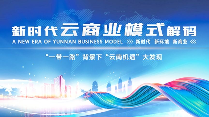 新时代云商业模式解码——花泽飞:《云文化:民营企业如何转型》