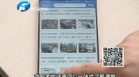 河南电视台打工直通车专访诚信招聘APP视频