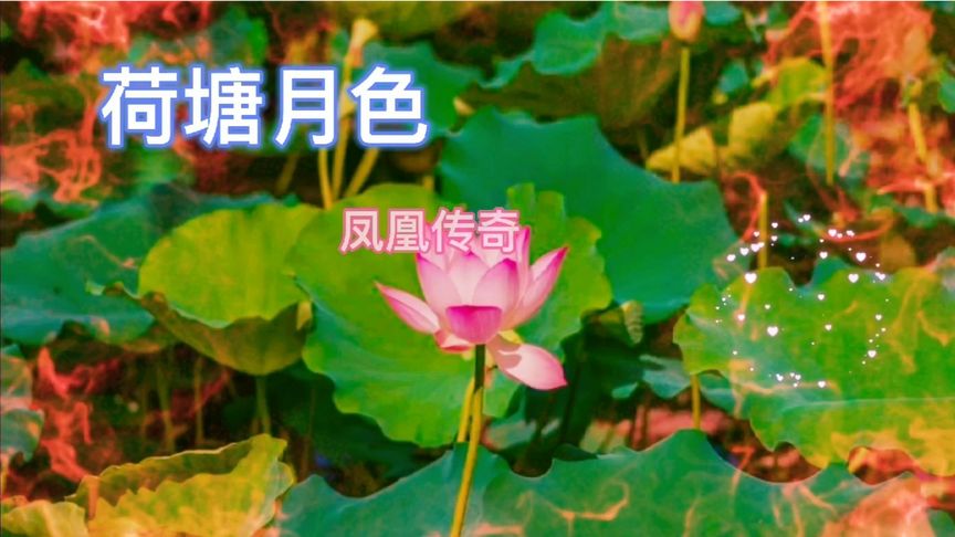 《荷塘月色》凤凰传奇