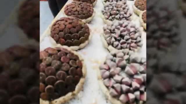 2018中国首届多肉植物展