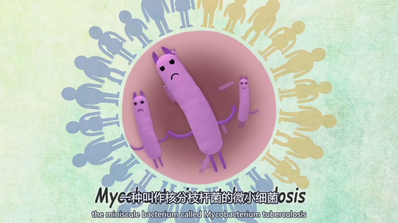 萌系动画带你快速了解“肺结核”