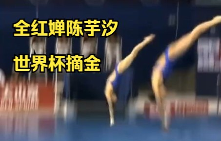 全红婵陈芋汐世界杯摘金,双双实现“金牌大满贯”