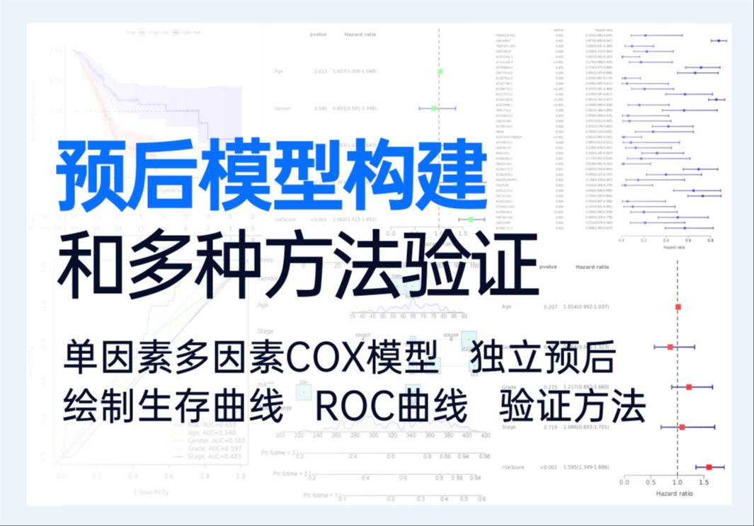 【2】预后模型构建和多种验证方法 单因素多因素COX模型 独立预后 ...