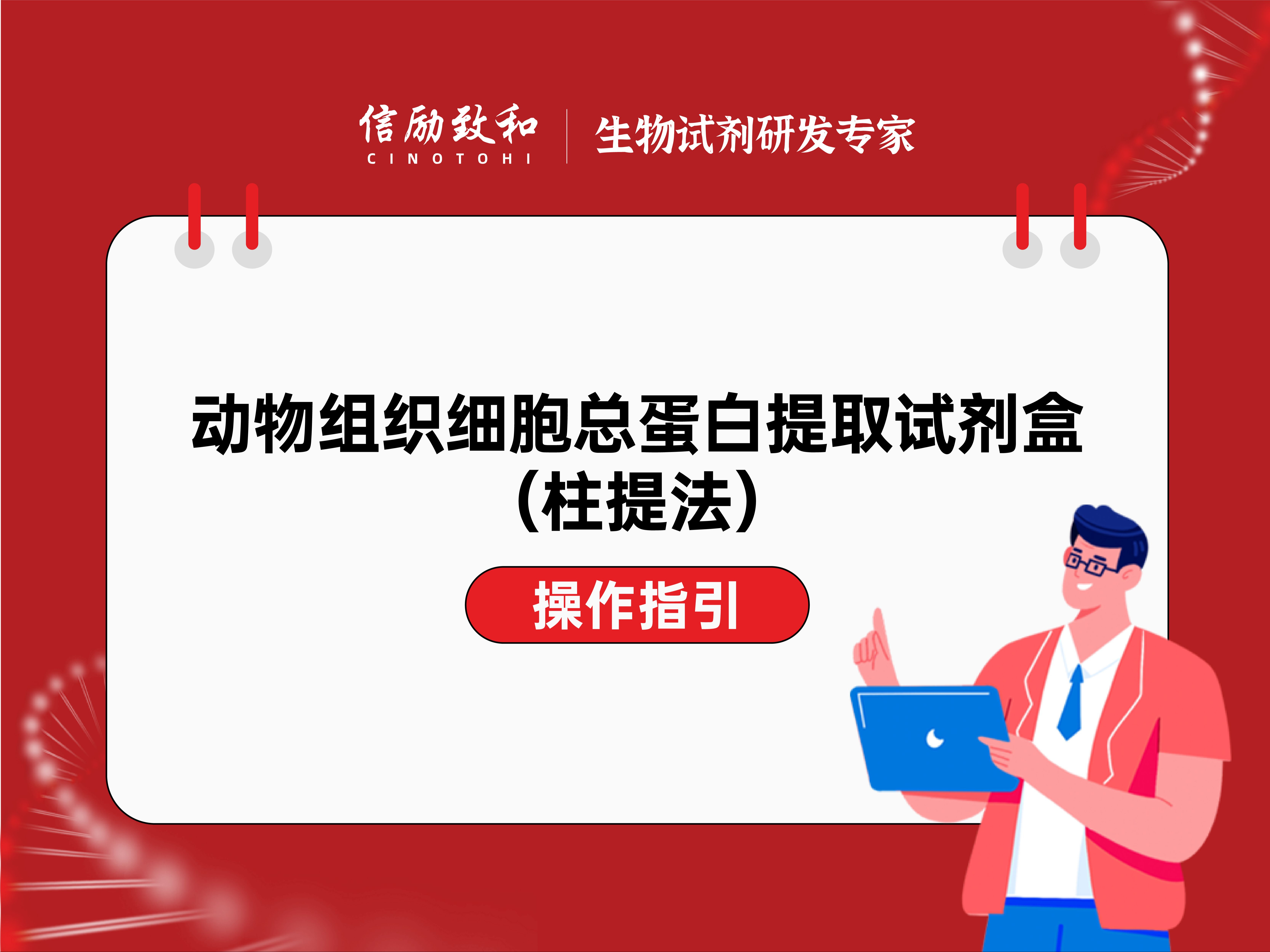 动物组织细胞总蛋白提取试剂盒(柱提法)操作指引