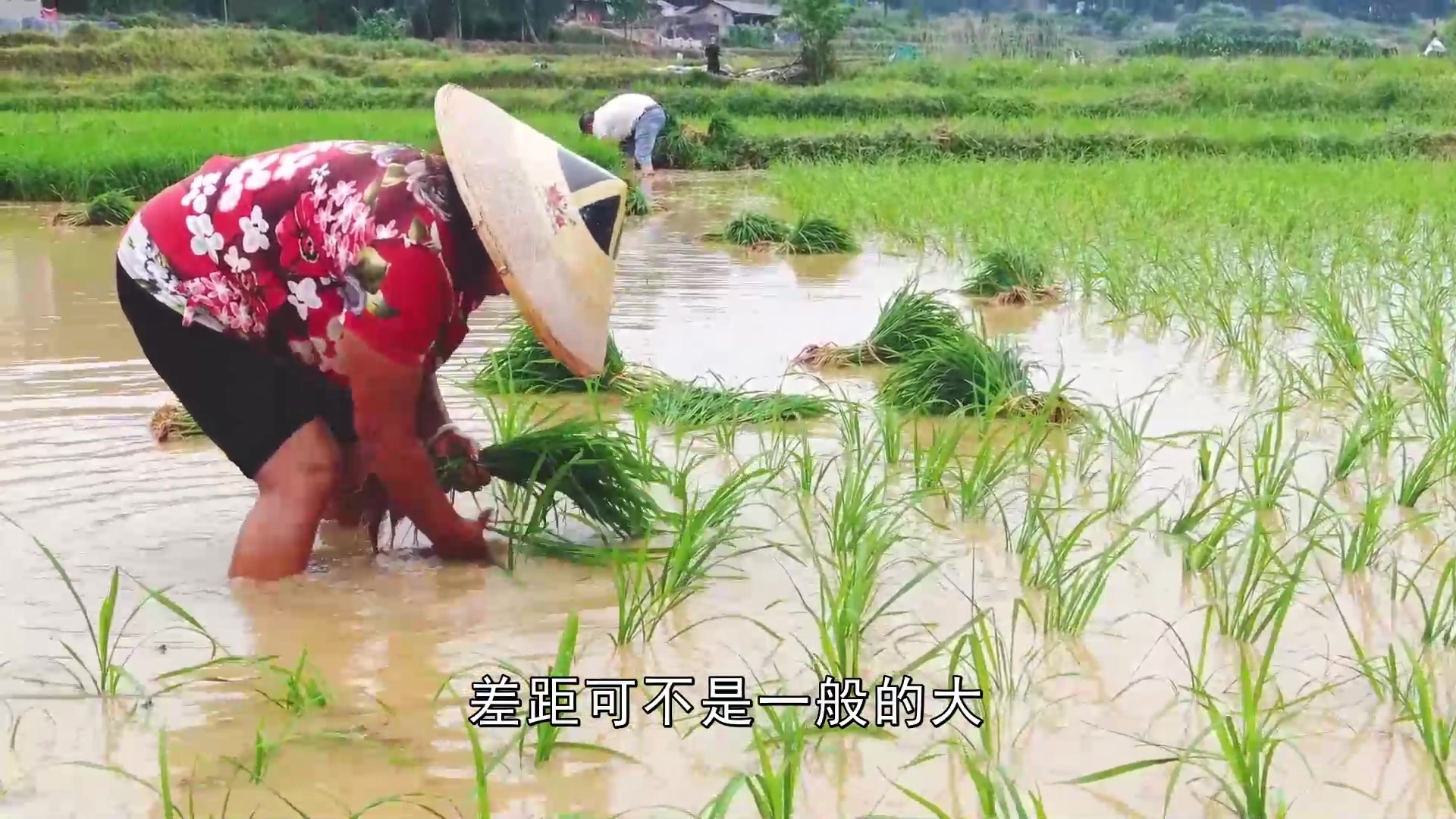 企业退休人员,养老保险视同缴费,该