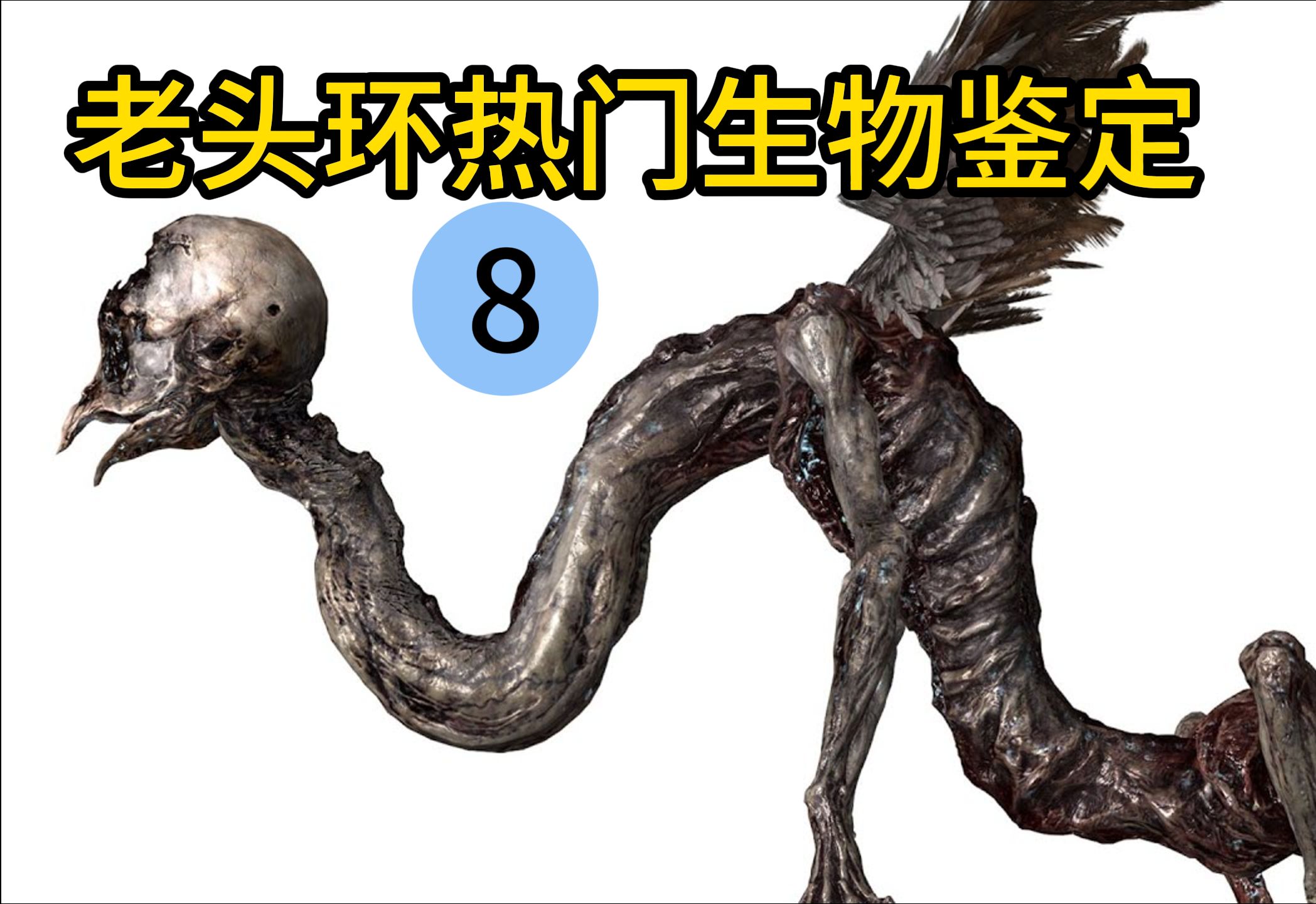 交界地热传艾尔登法环生物鉴定_哔哩哔哩bilibili_黑暗之魂