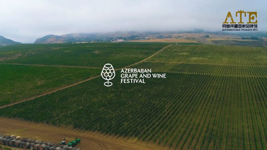 享受每一个节日!阿塞拜疆葡萄&葡萄酒节@阿塞拜疆驻华大使馆