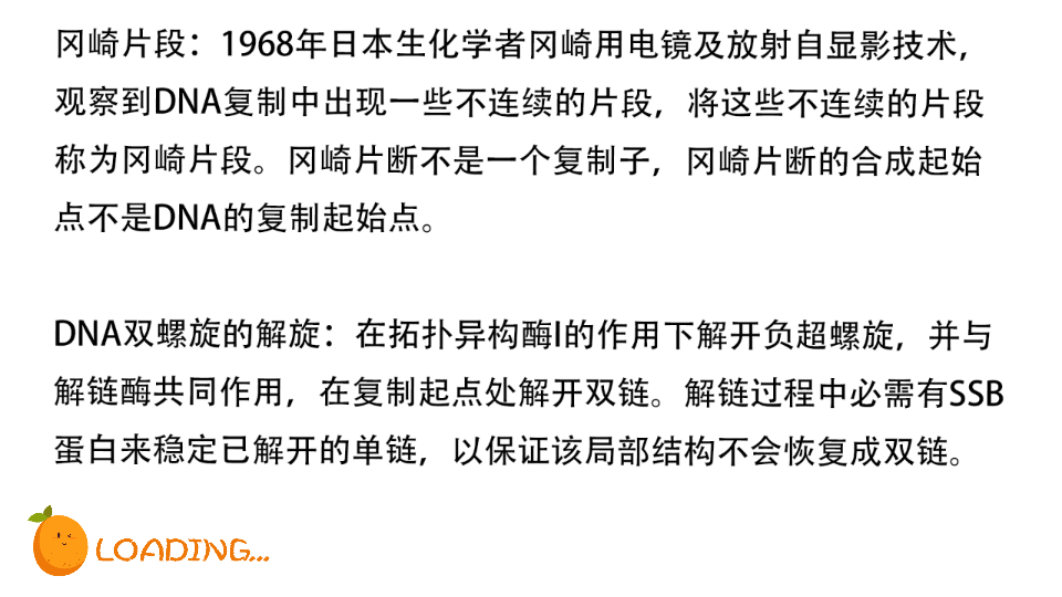 【生化】名词解释(4)复制叉、复制子、冈崎片段、DNA双螺旋的解旋