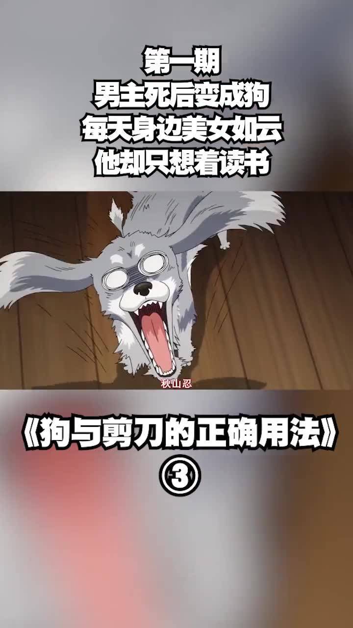 狗与剪刀的正确用法1-3集|把书中的招式重现