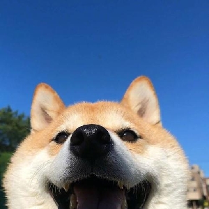 云至_ 