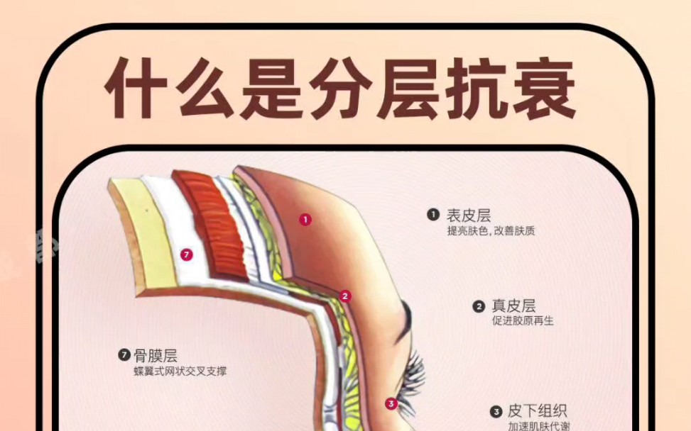 面部结构总体分为5层:第一层表皮层提亮肤色;第二层真皮层胶原再生;...