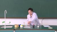 化学实验10 探究盐酸中哪种粒子使紫色石蕊溶液变红