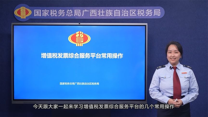 增值税发票综合服务平台常用操作