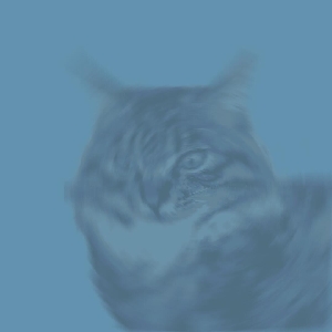 甲基猴 