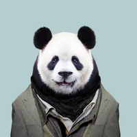 兽语翻译官