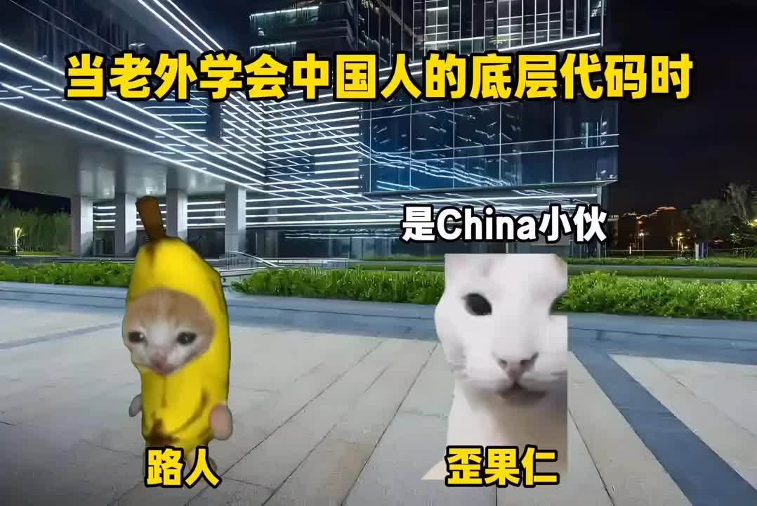 当老外学会国人的底层代码时