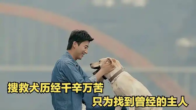 搜救犬历尽千辛万苦,只为找到曾经的主人(一)