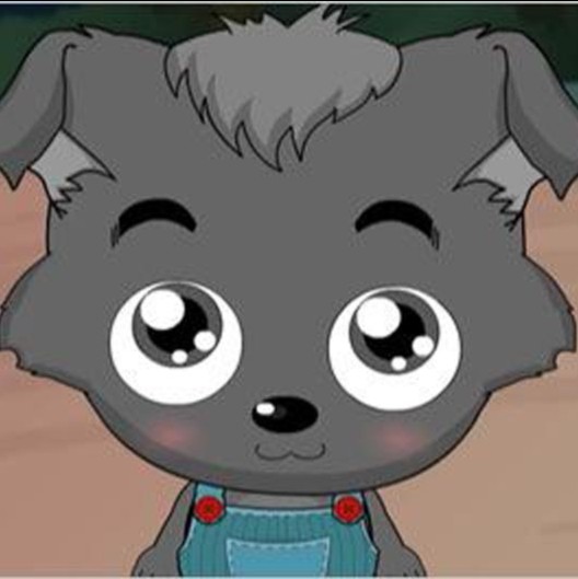 小灰灰灰灰灰灰i 