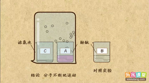 学霸笔记:探究分子运动实验