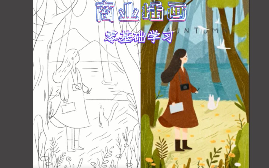 【商业插画】ps+手绘板 插画零基础入门知识讲解,教你怎么从小白开始...