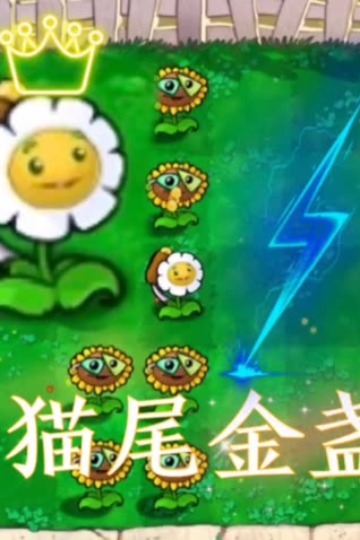 #植物大战僵尸2 #植物大战僵尸