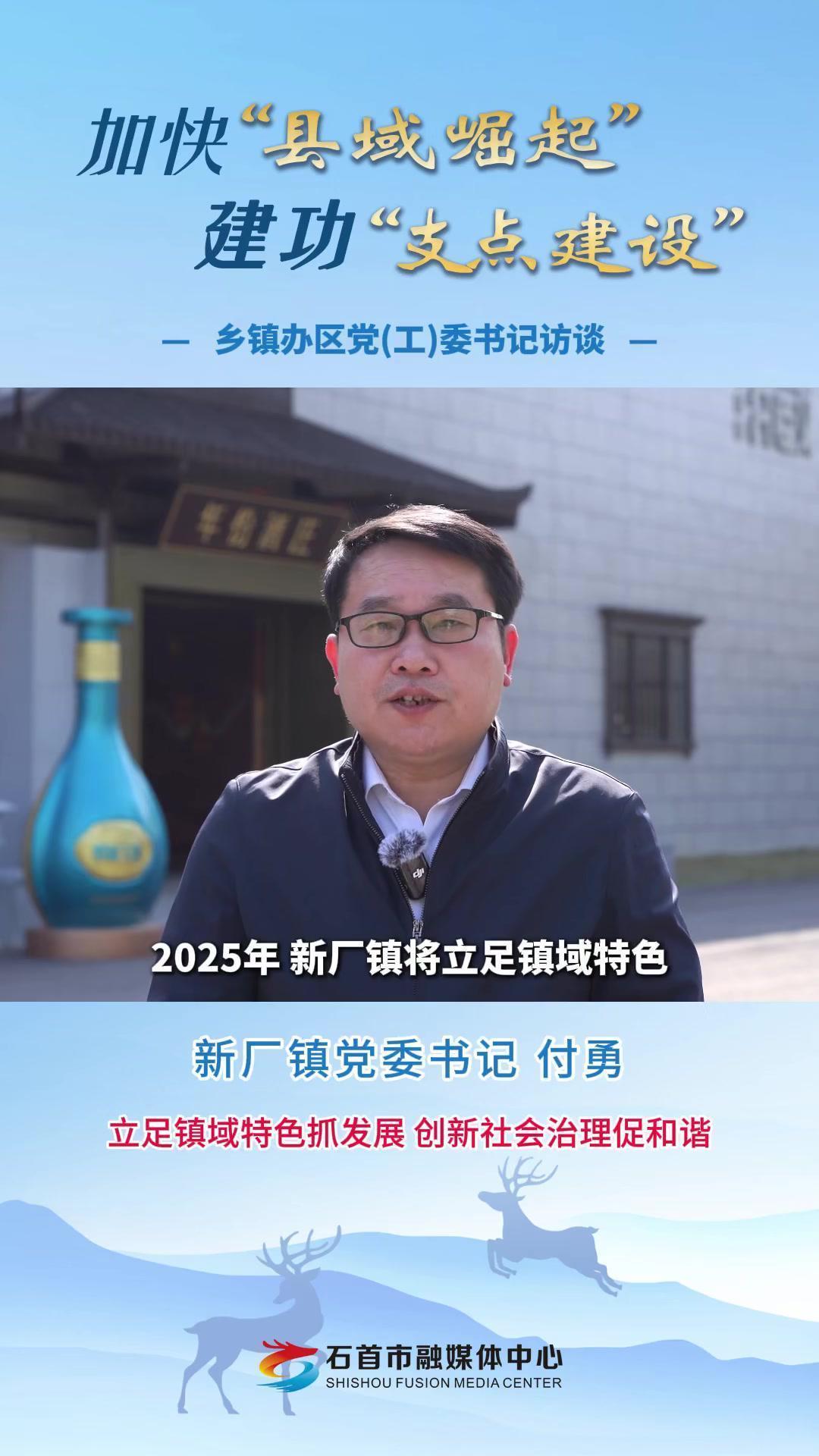 ...访谈丨新厂镇党委书记付勇:立足镇域特色抓发展创新社会治理促和谐