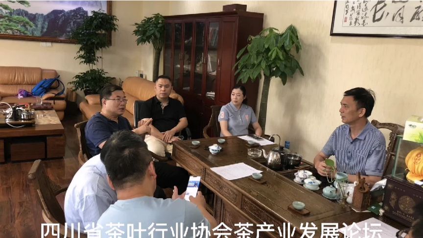 四川省茶叶行业协会茶产业发展论坛