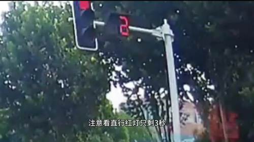 各种不遵守交通规则,视频里有你的影子吗?