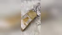 南京同仁堂菊花决明子茶金银花牛蒡枸杞花茶组合小包装茶包