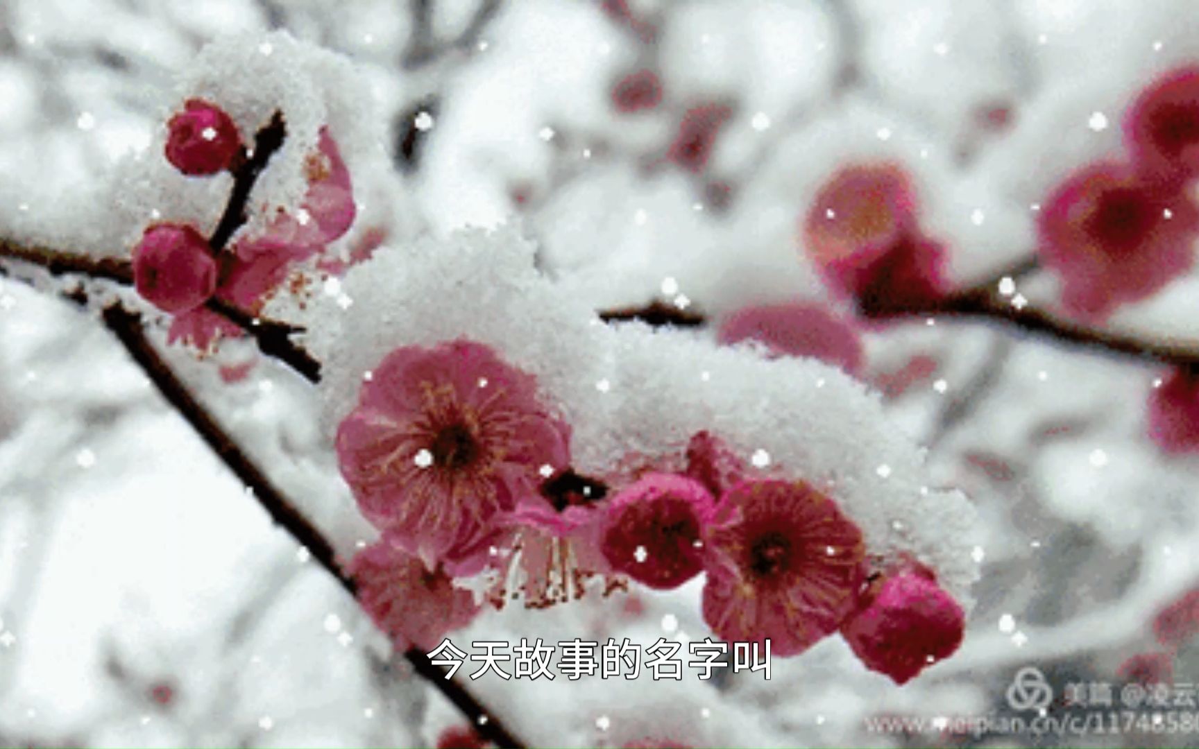 睡前故事合辑《兔子妹妹》1-6岁儿童故事|英文绘本故事|国学故事|每个...